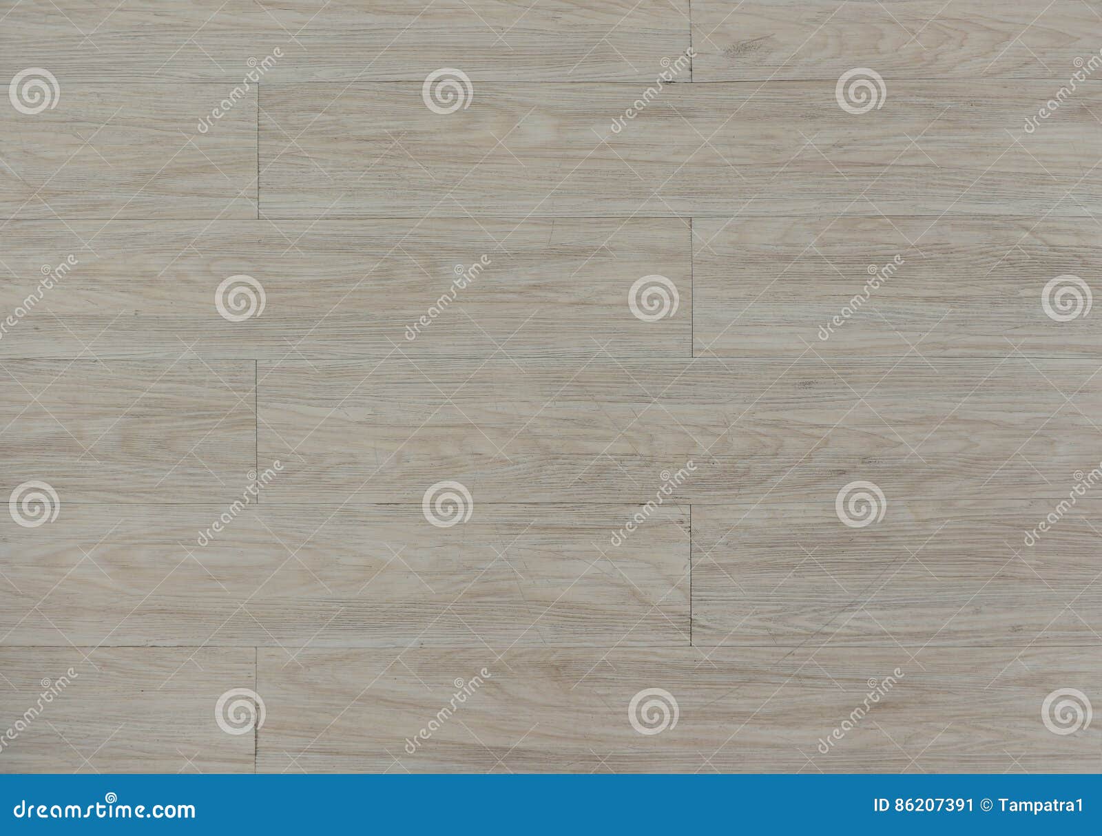 Timber Flooring Pattern, Seamless Texture, Laminate Stock Image - Image ...