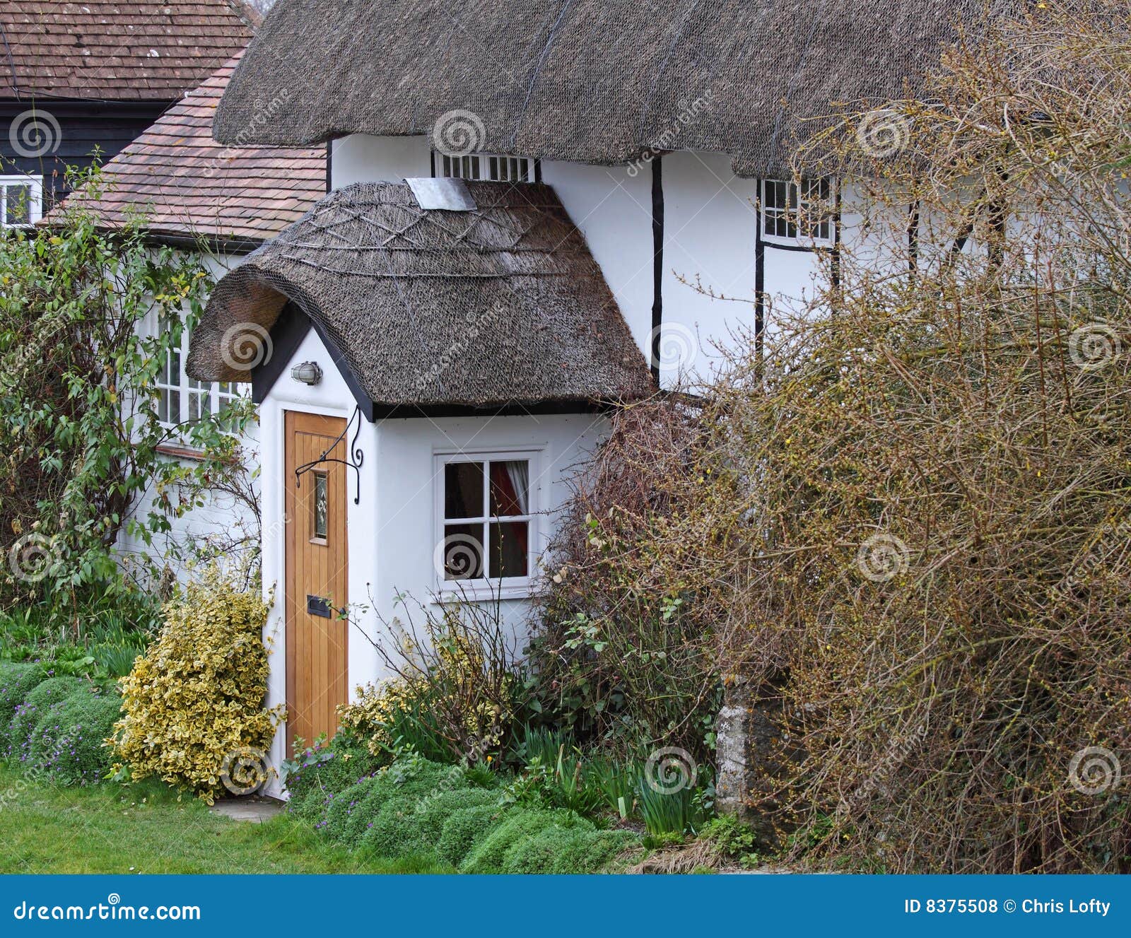 Timber Framed English Thatched Cottage Stock Photo - Image of home ...