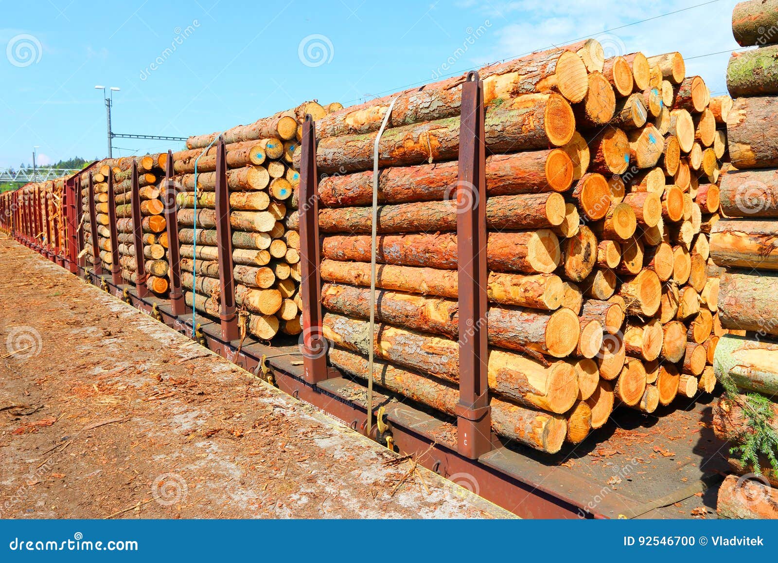 Timber on the Freight Train. Stock Photo - Image of environment, depot ...