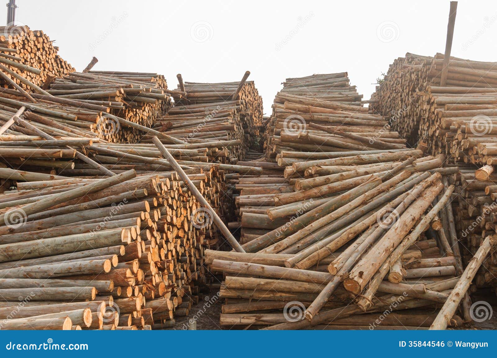 Timber stock photo. Image of landscape, deck, forest - 35844546
