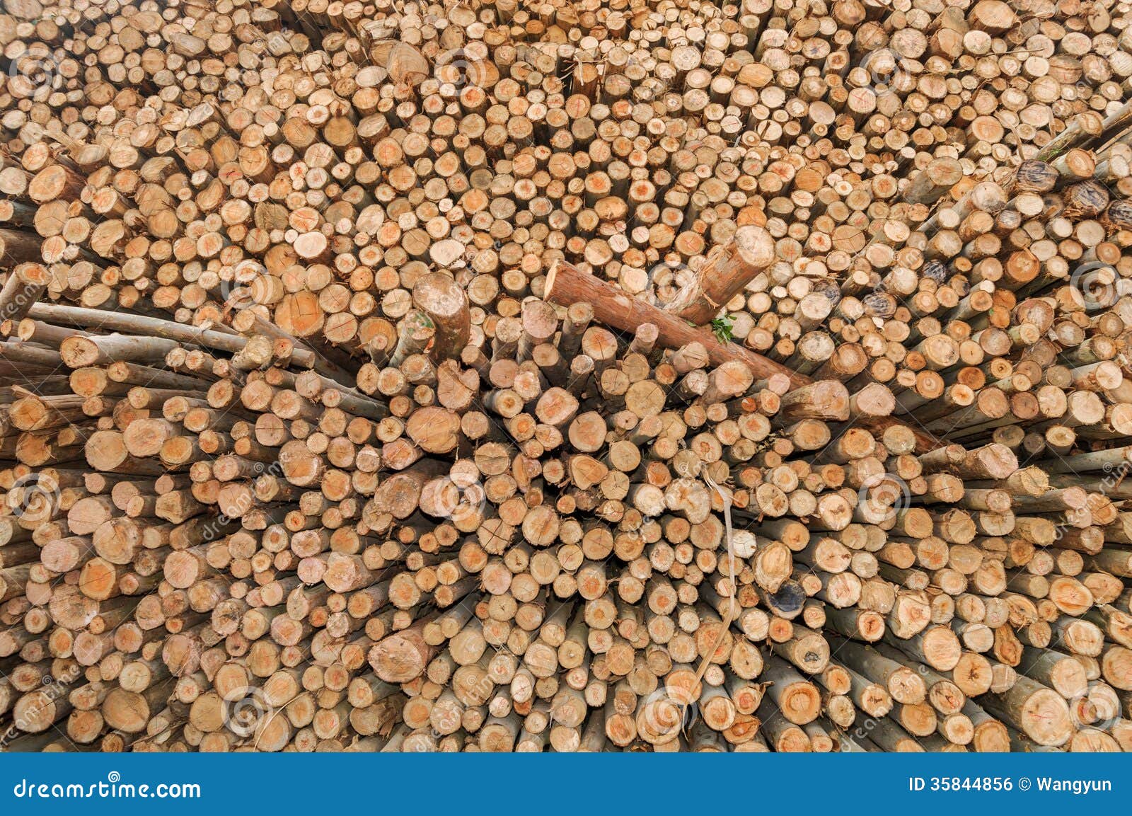 Timber stock photo. Image of logging, capture, produce - 35844856