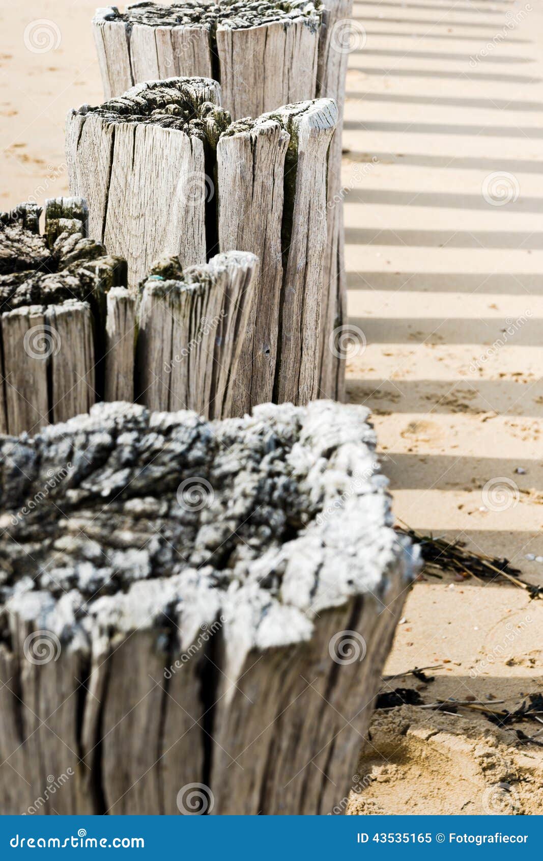 Timber Groynes on the Beach at the North Sea Stock Image - Image of ...