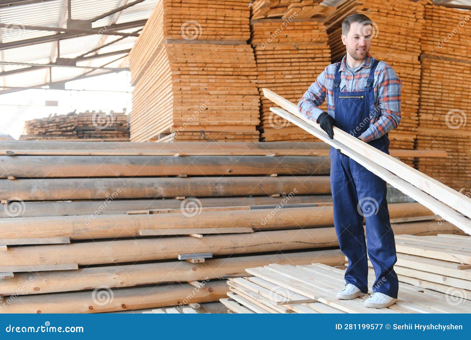 Timber Harvesting for Construction. Carpenter Stacks Boards. Industrial ...