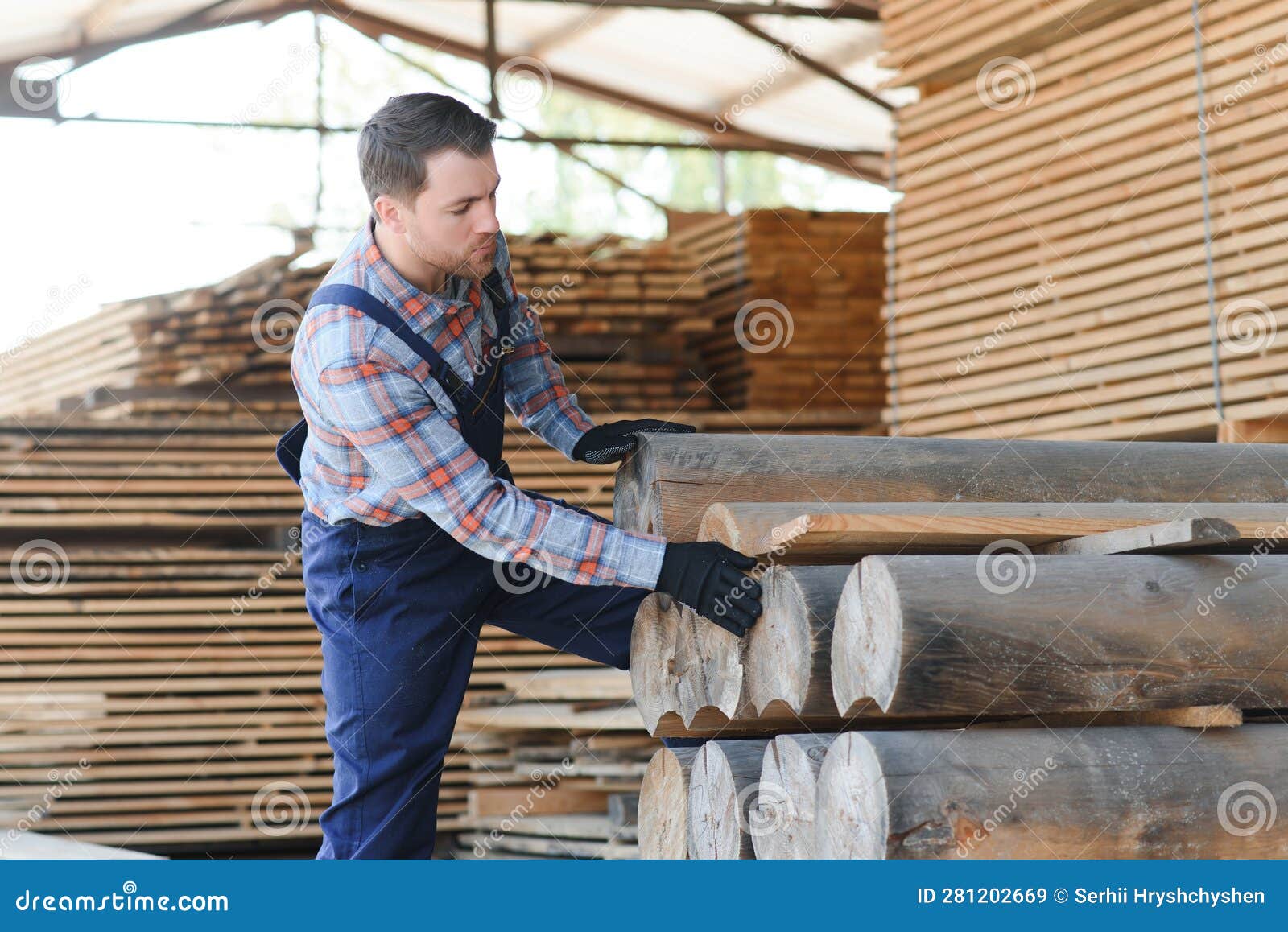Timber Harvesting for Construction. Carpenter Stacks Boards. Industrial ...