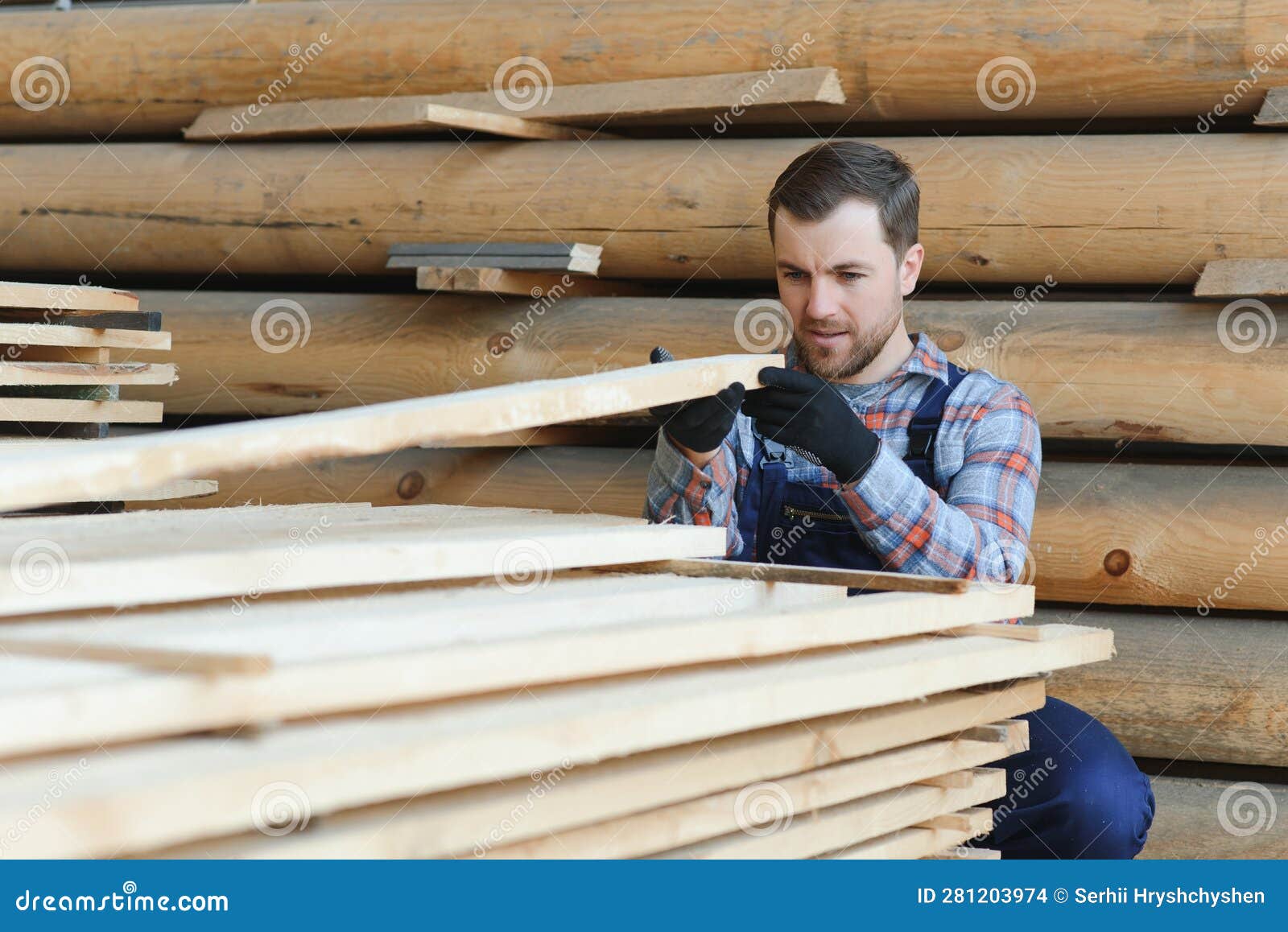 Timber Harvesting for Construction. Carpenter Stacks Boards. Industrial ...