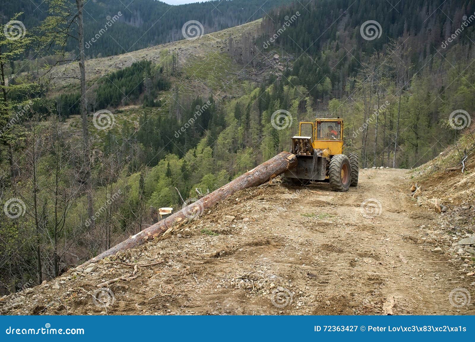 Timber harvesting stock image. Image of forests, roads - 72363427