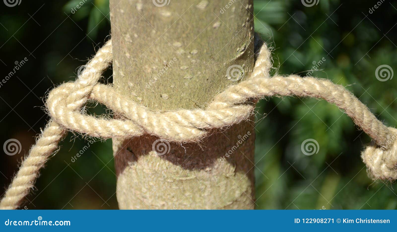 Timber hitch stock image. Image of white, closeup, line - 122908271