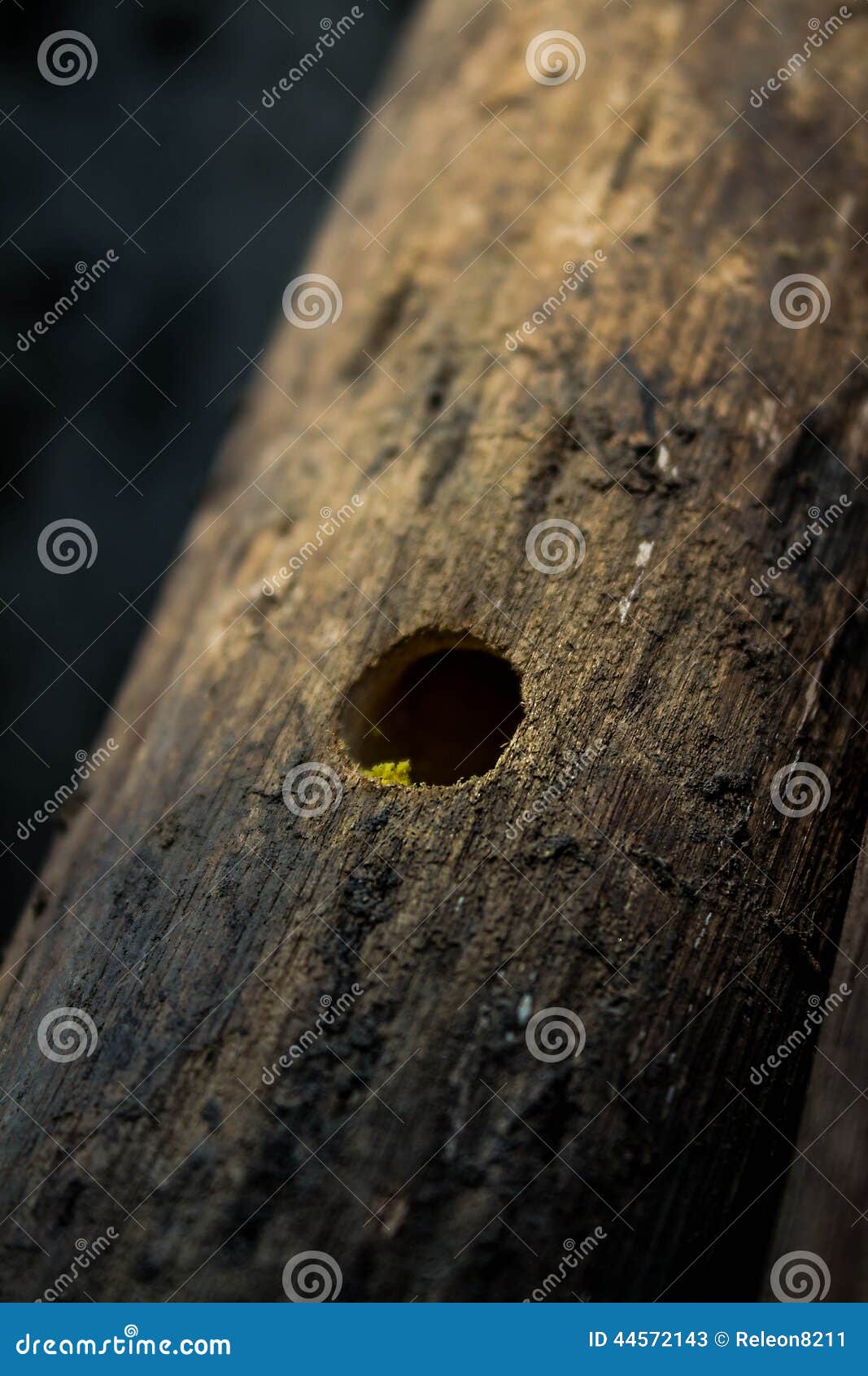 Timber with holes stock image. Image of private, peep - 44572143