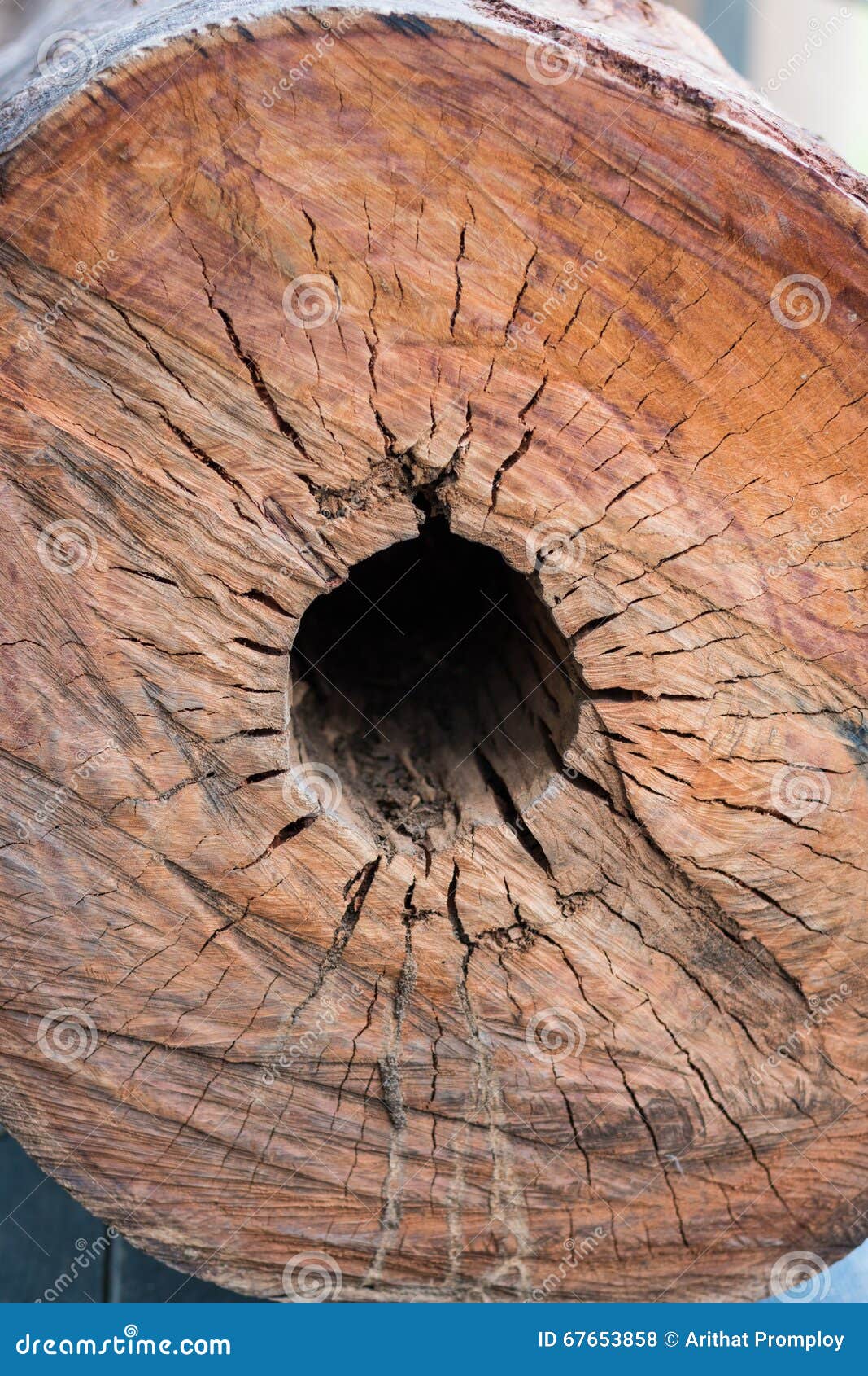 Timber with holes stock photo. Image of pine, lumber - 67653858