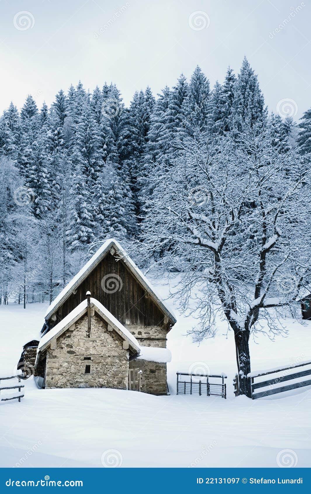 Timber House in Snowy Landscape Stock Image - Image of winter ...