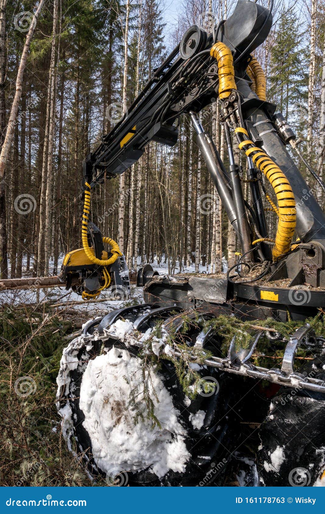 Timber Industry. Logger Cuts Tree in Winter Forest Stock Image - Image ...