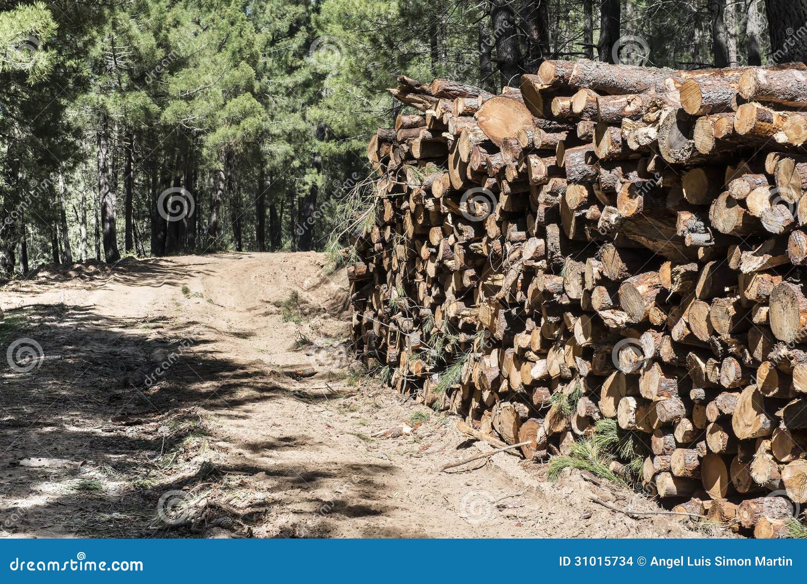 Timber industry stock photo. Image of timber, trees, stack - 31015734