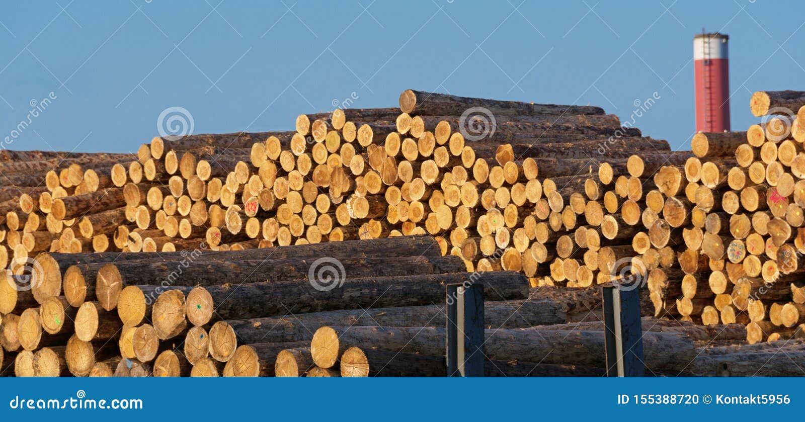 Timber Industry, Many Stacks of Tree Trunks Stock Photo - Image of ...