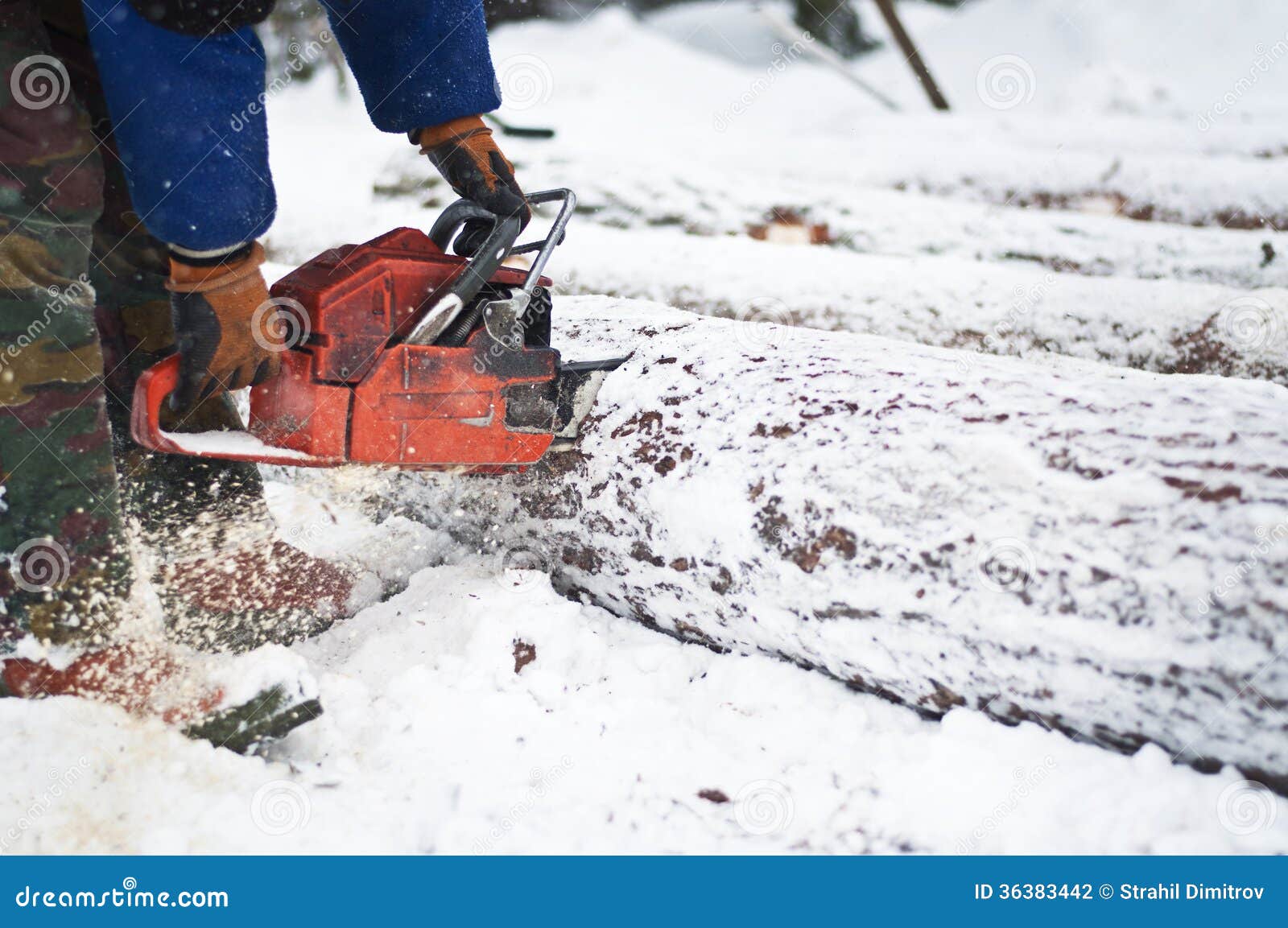 Timber industry worker stock photo. Image of environmental - 36383442