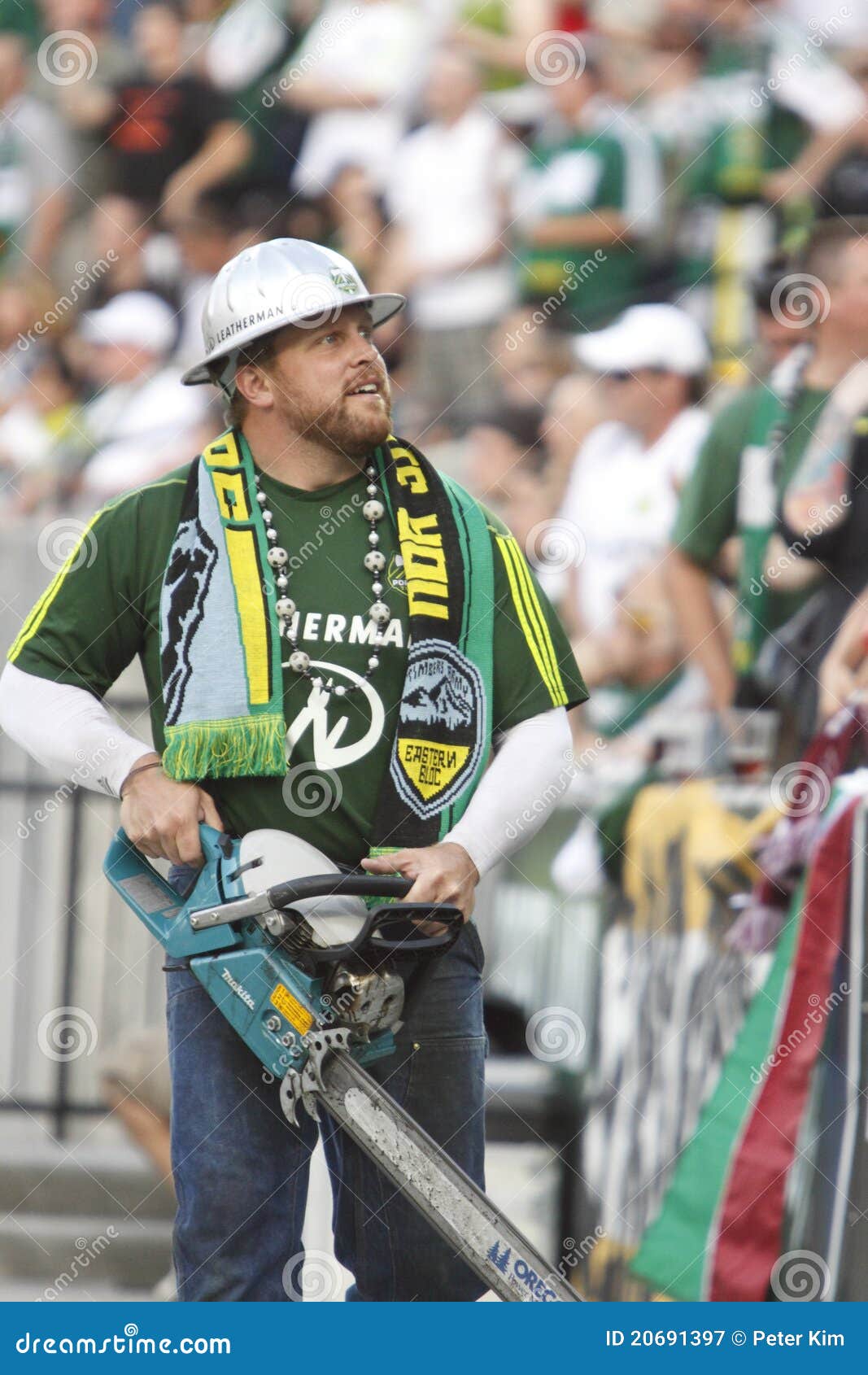 Timber Joey editorial photography. Image of outdoor, league - 20691397