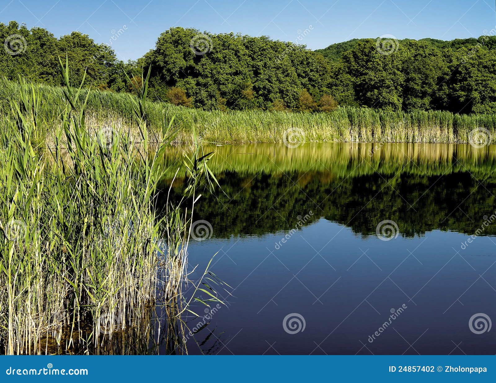 Timber lake stock photo. Image of kyrgyzstan, timber - 24857402