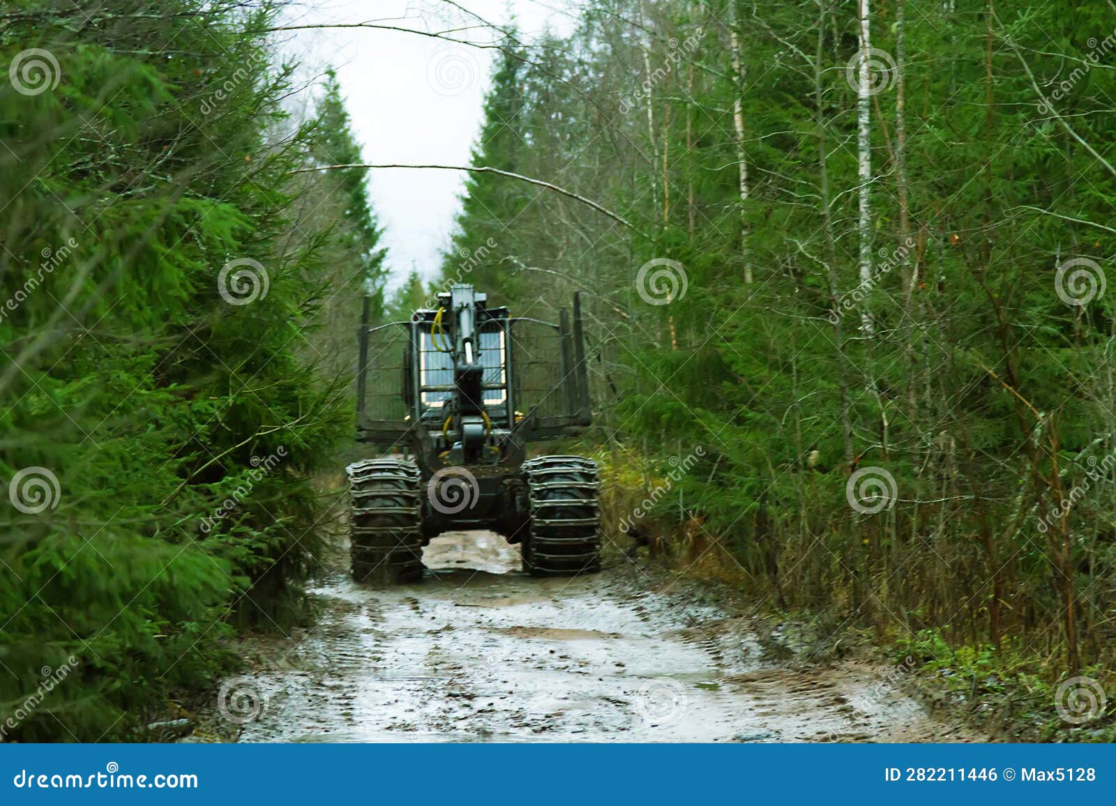 Timber loader stock photo. Image of transportation, timber - 282211446
