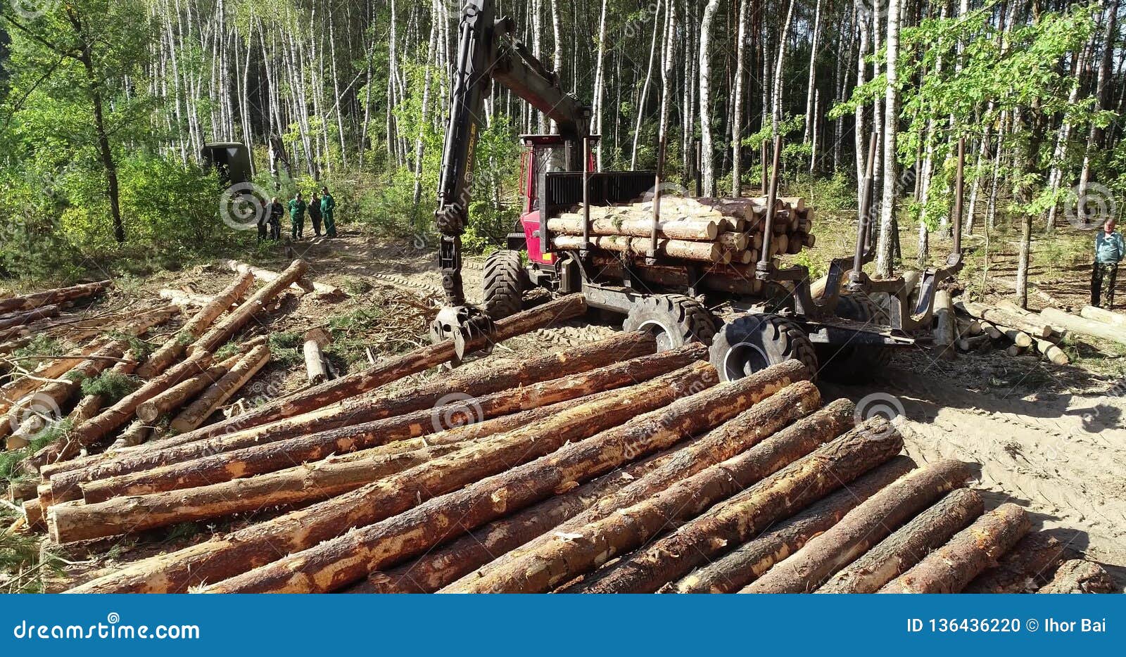 Timber Loading, Loading Logs into a Truck, Timber Processing ...