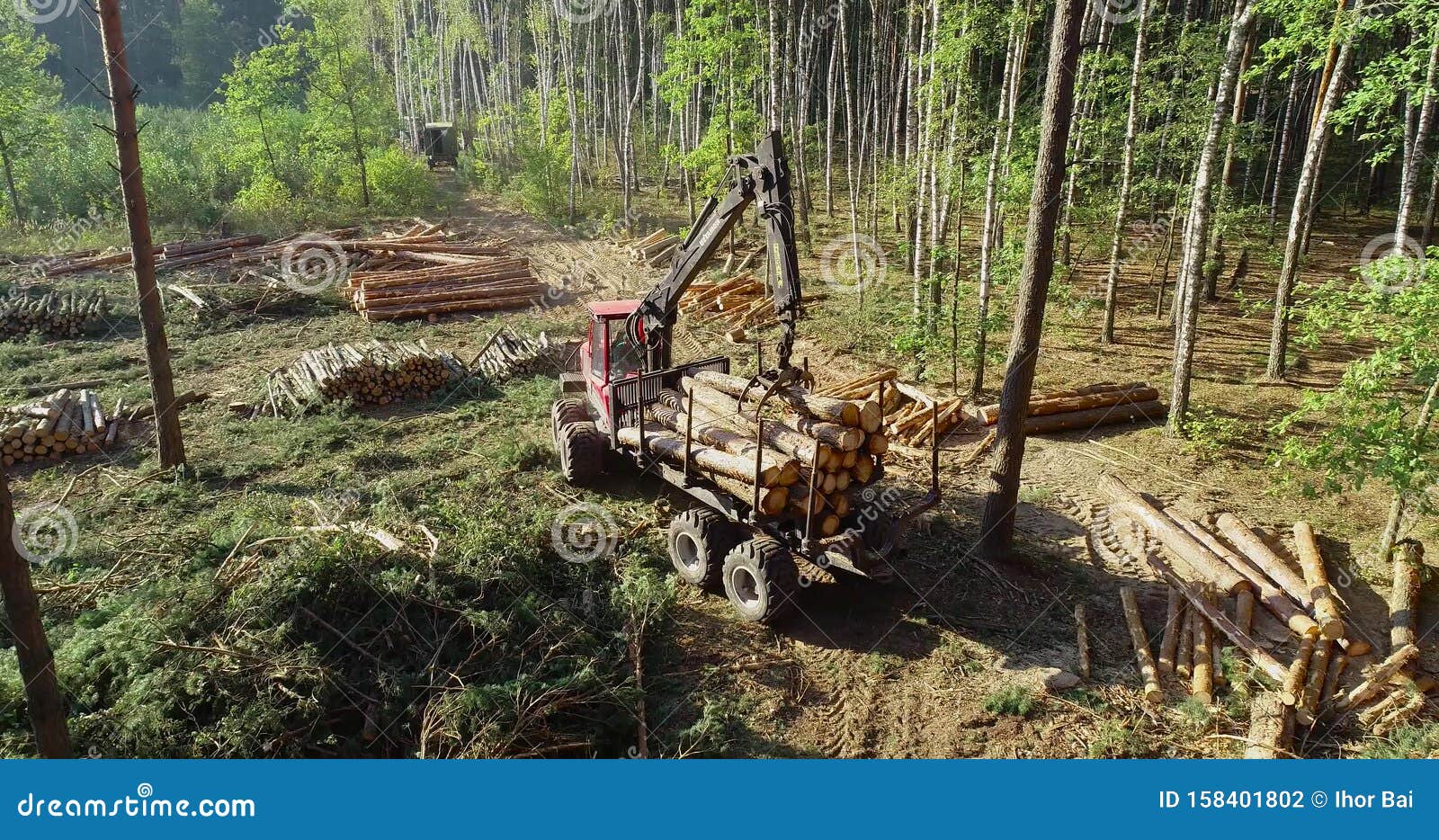 Timber Loading, Loading Logs into a Truck, Timber Processing ...