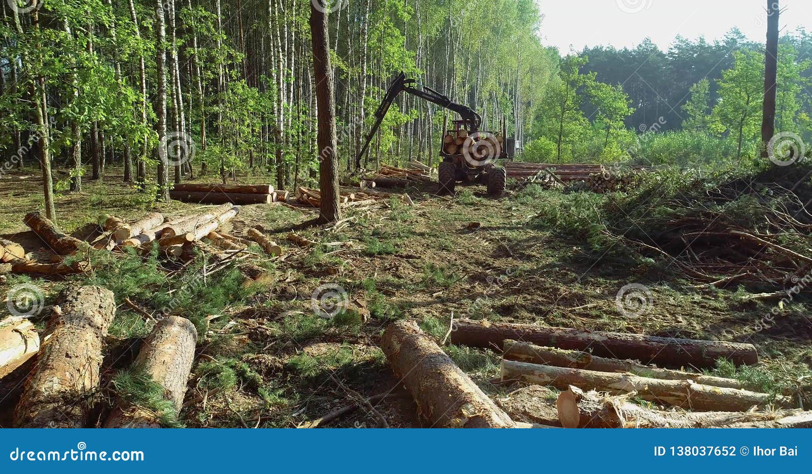 Loading Logs in the Truck, Loading Logs in the Forest, the Manipulator ...