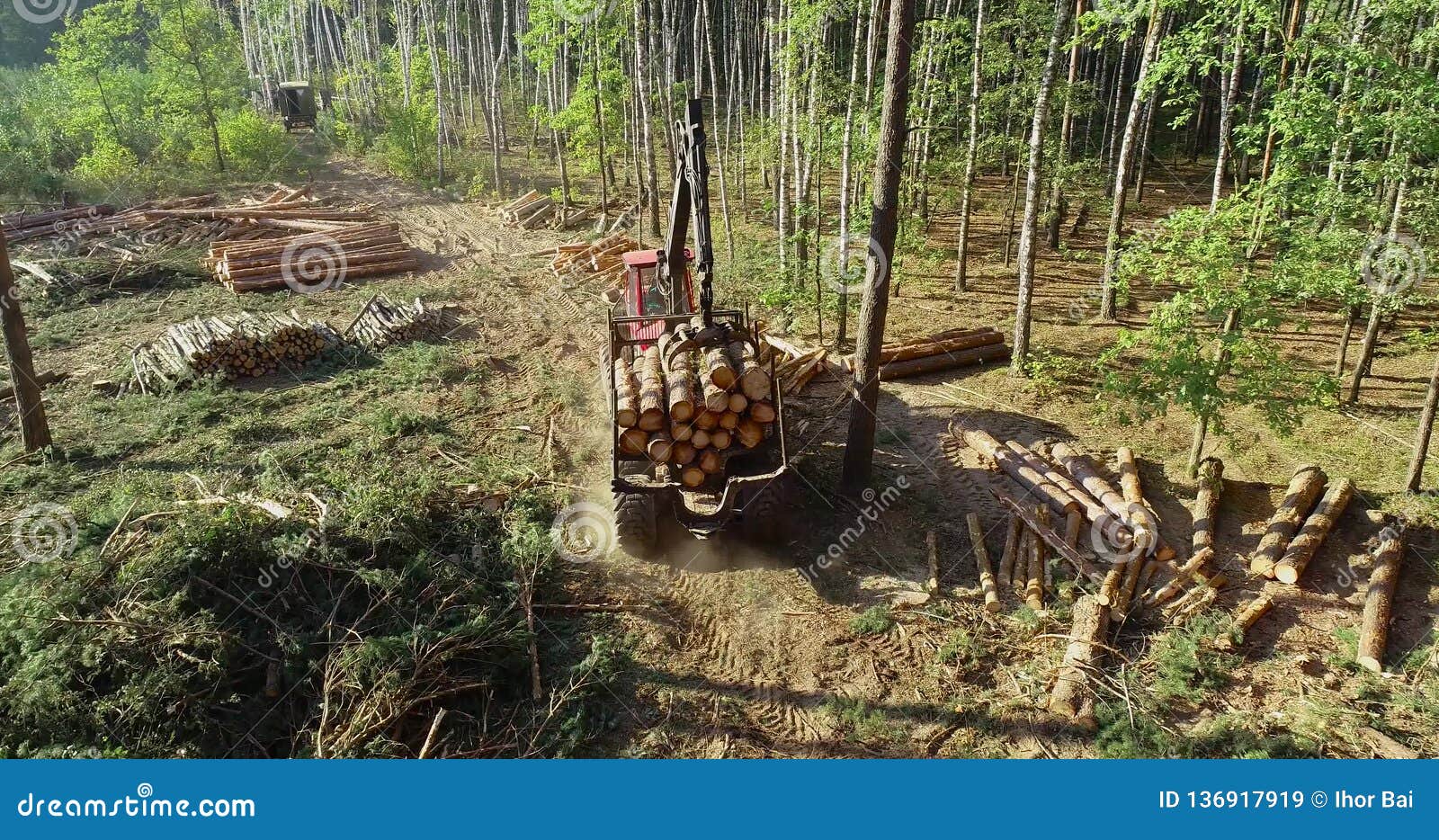 Timber Loading, Loading Logs into a Truck, Timber Processing ...
