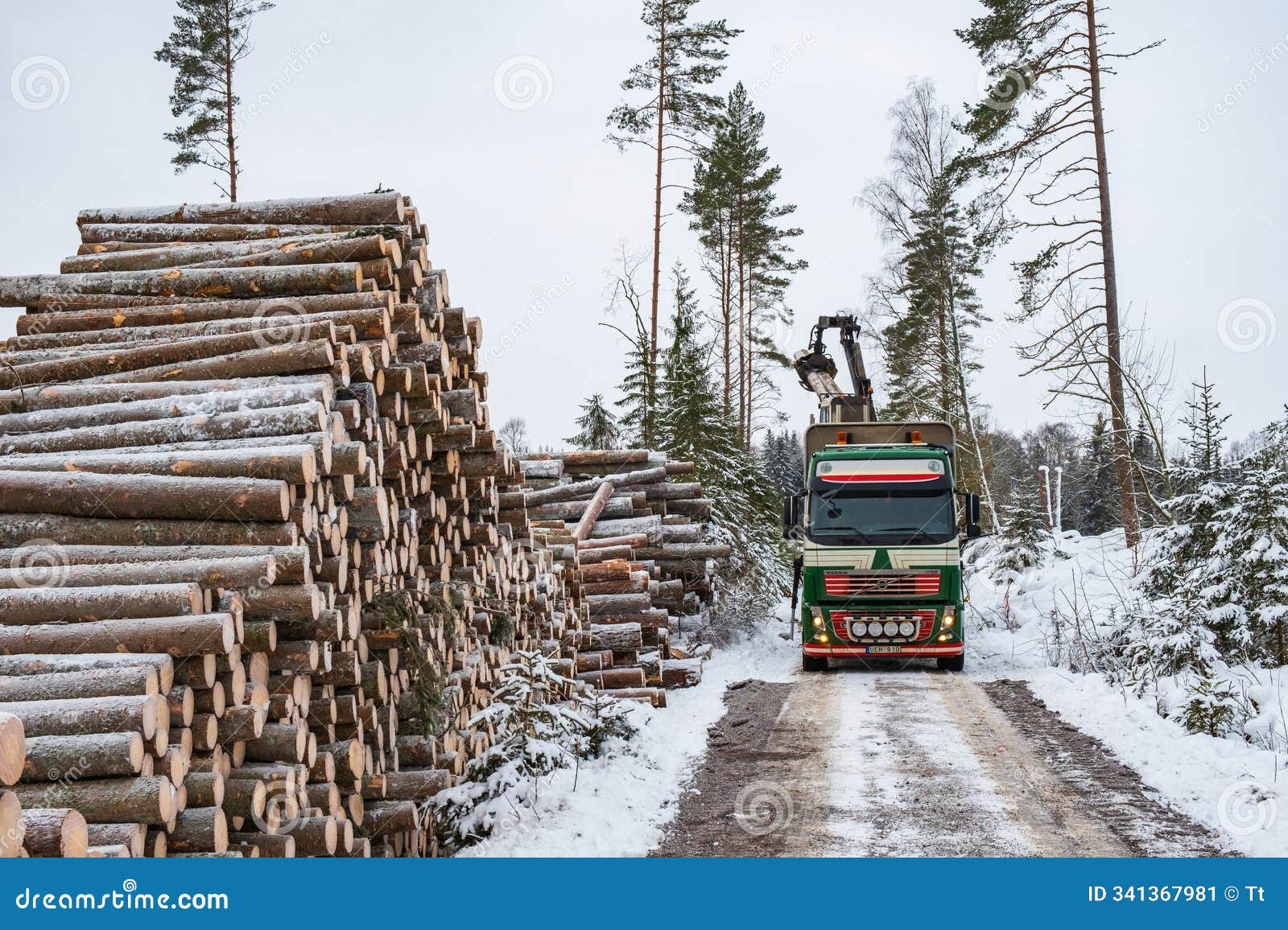 Timber Loading To a Truck on the Winter Editorial Photo - Image of ...