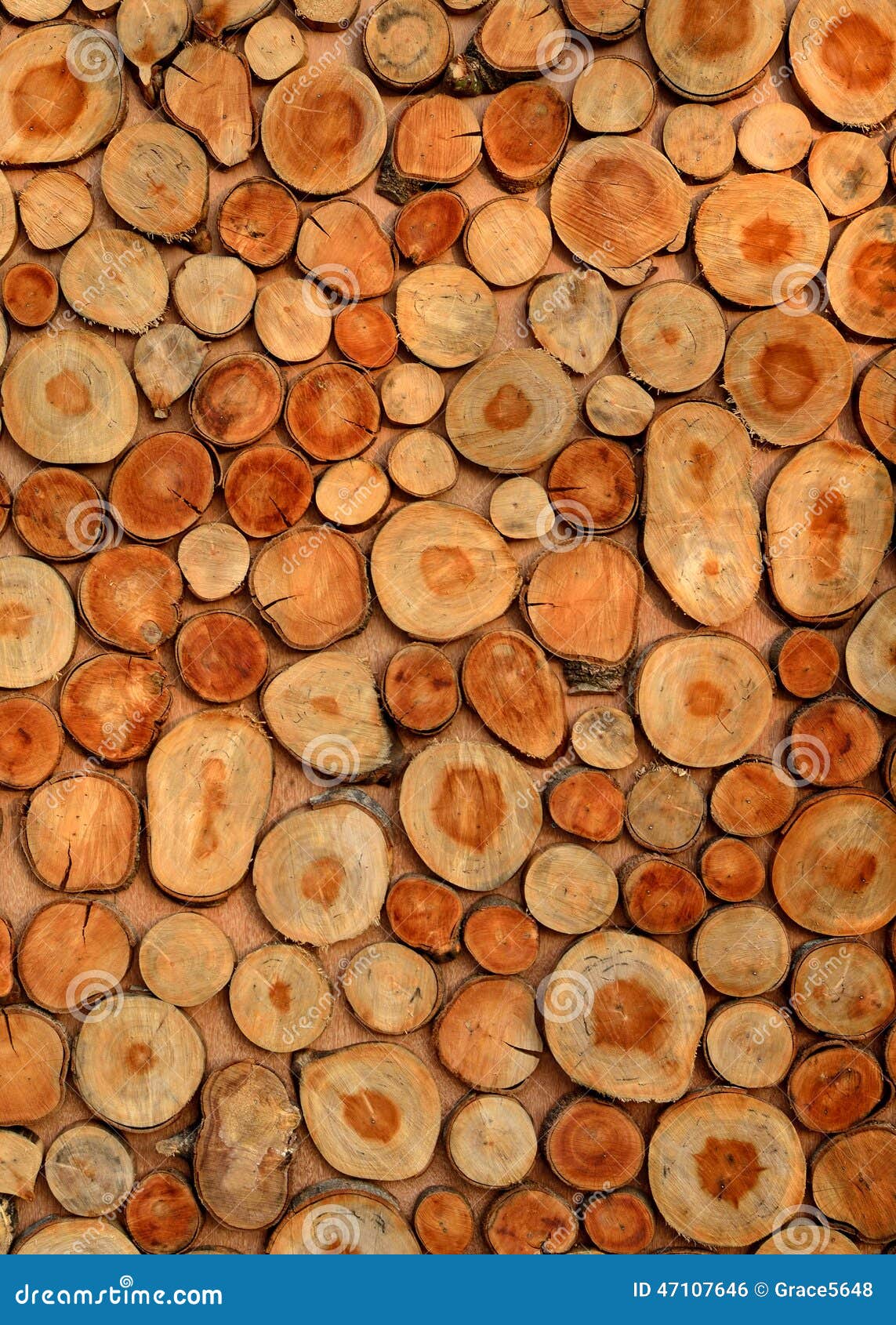 Timber log background stock photo. Image of forest, cross - 47107646
