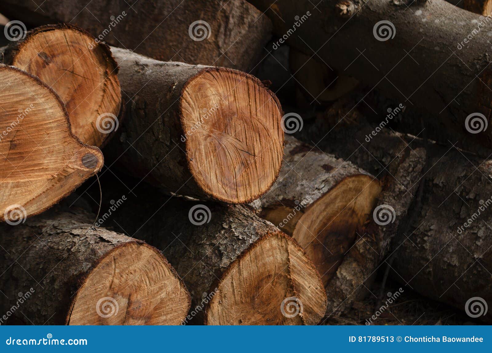 Timber Log stock image. Image of hardwood, bark, heap - 81789513