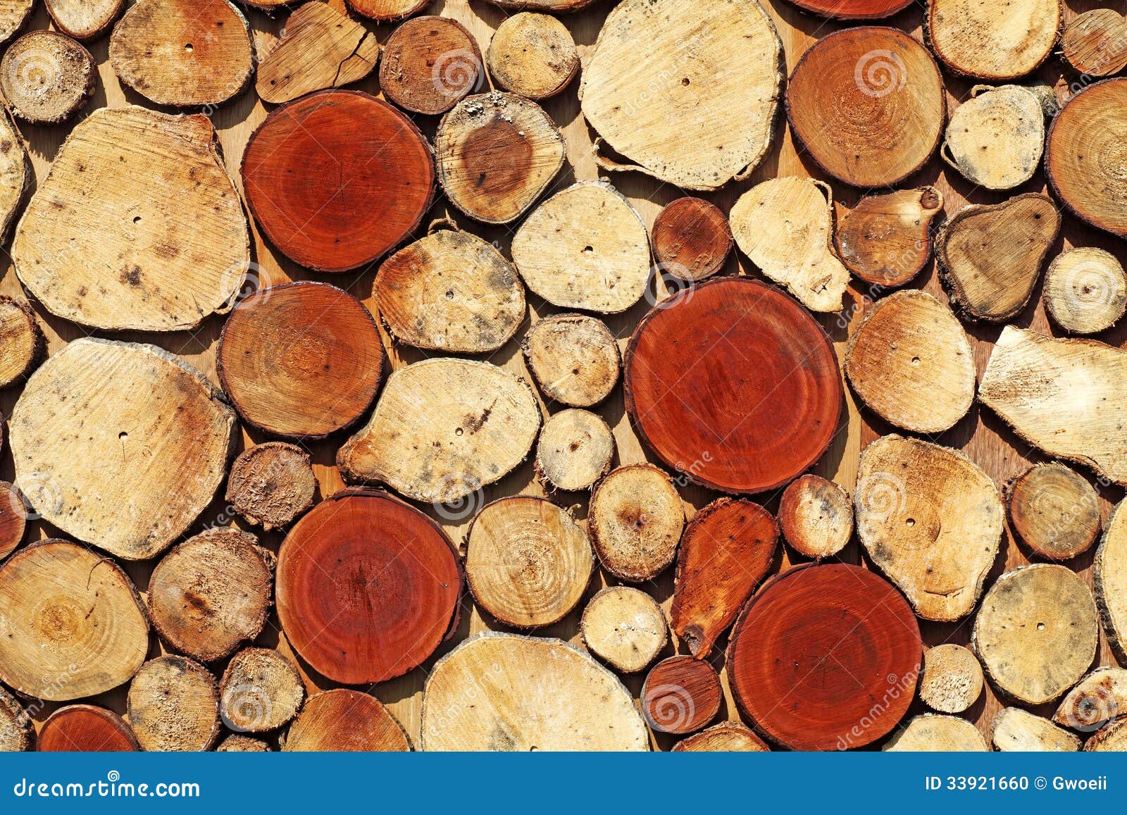 Textural Cross Section On Spruce Log Stock Photo | CartoonDealer.com ...