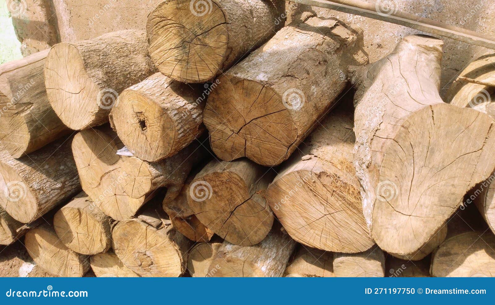 Timber log stack stock photo. Image of electric, timber - 271197750