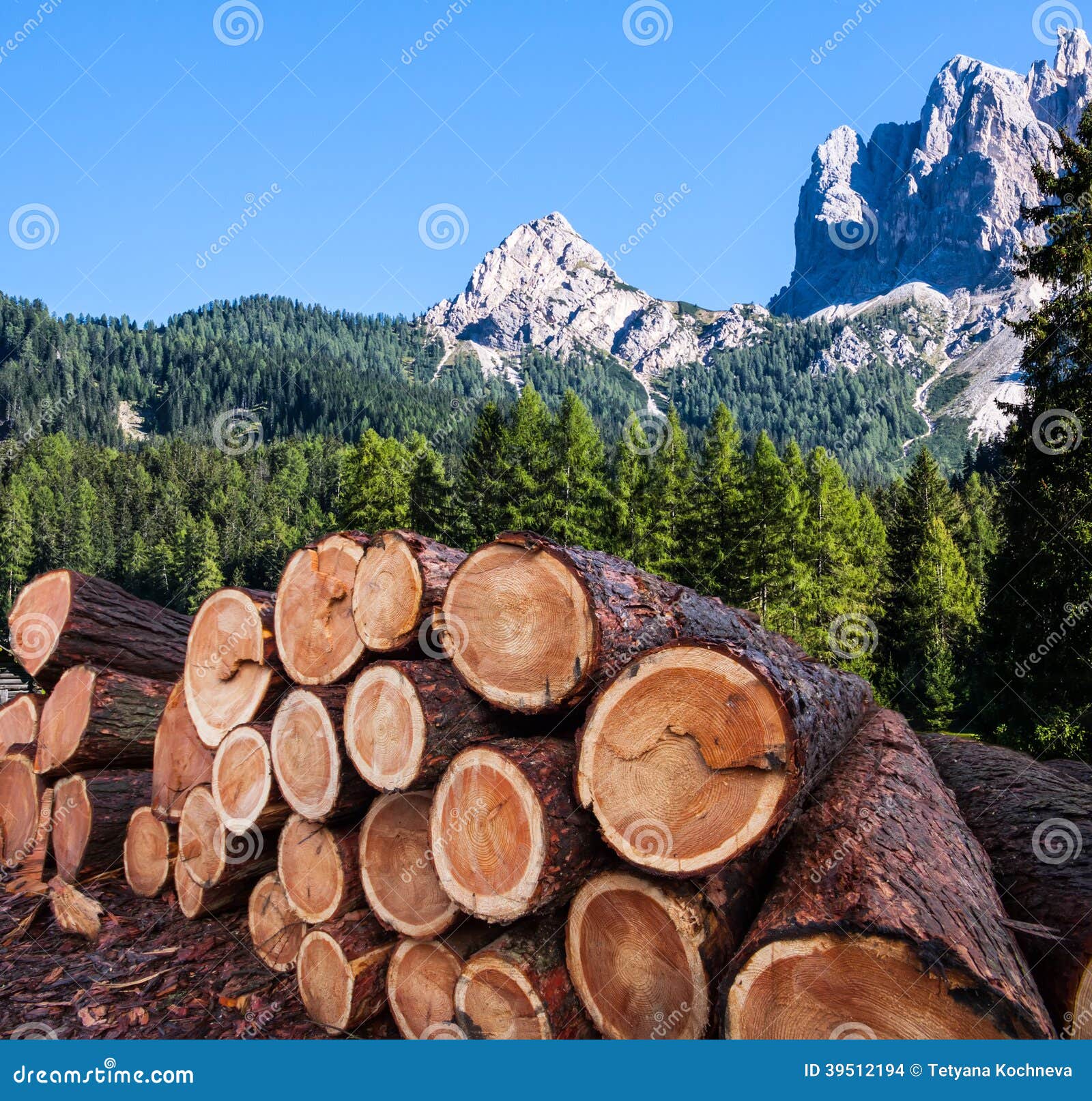 Timber Logging in Austrian Alps Stock Photo - Image of woodchip ...
