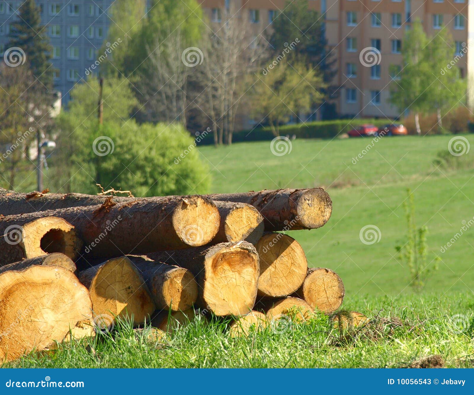Timber logs stock image. Image of industry, timber, forestry - 10056543