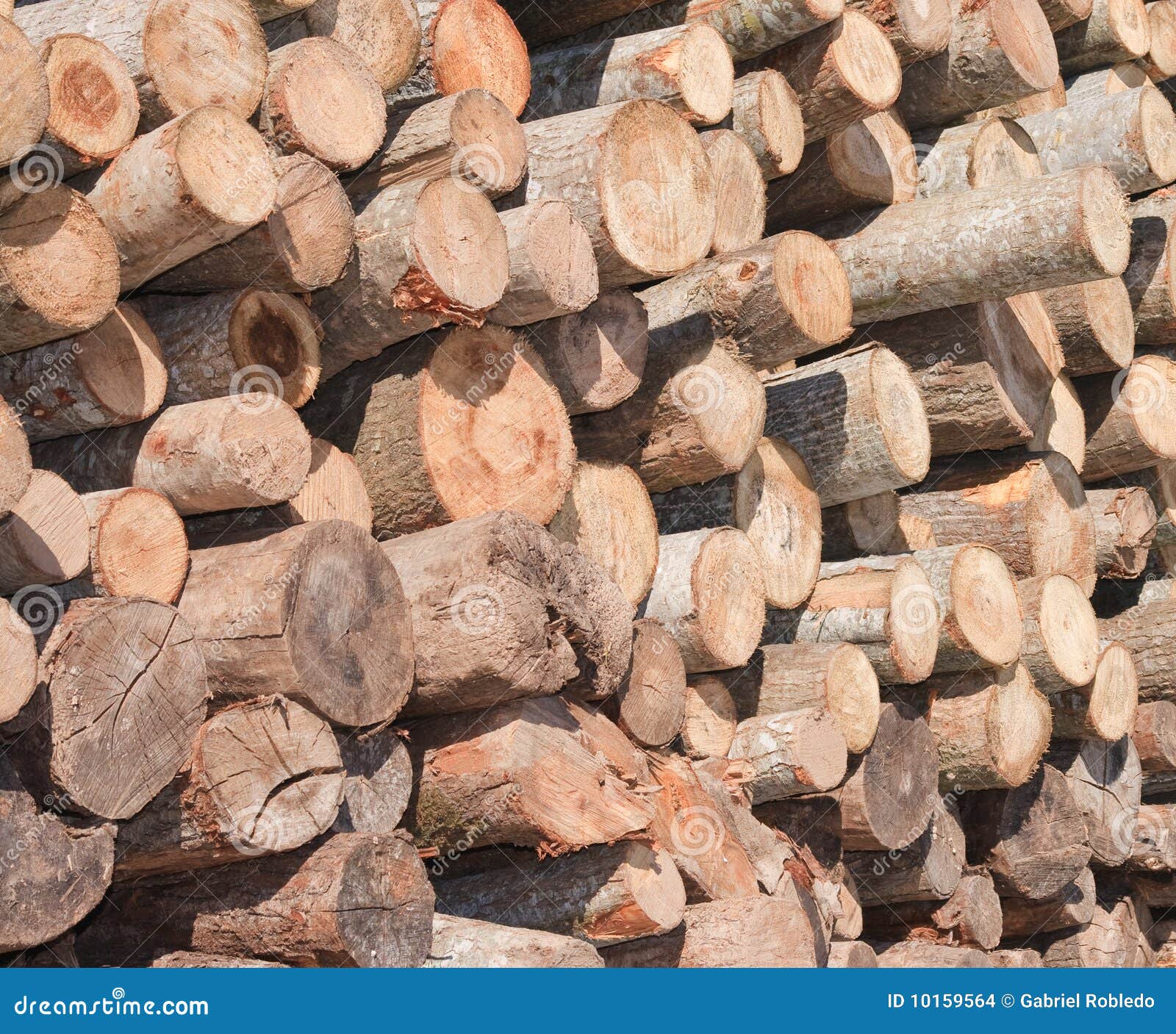 Timber logs stock photo. Image of processing, logstack - 10159564
