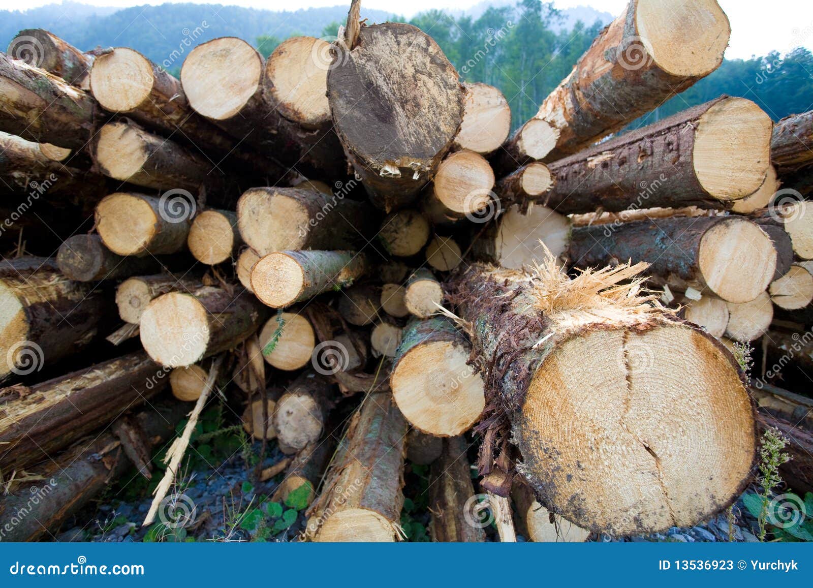 Timber logs stock image. Image of lumber, bark, background - 13536923