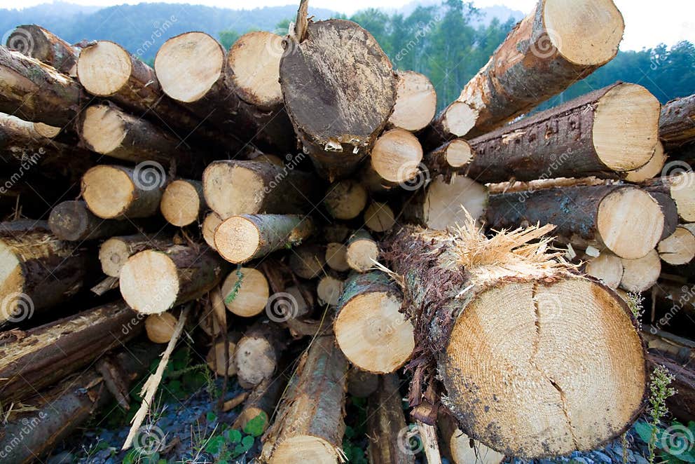 Timber logs stock image. Image of lumber, bark, background - 13536923