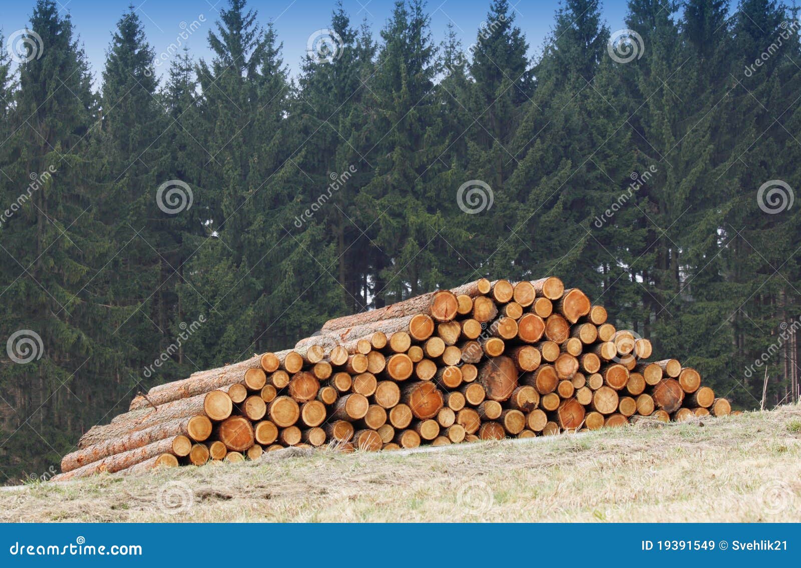 Timber logs stock image. Image of industry, woodpile - 19391549