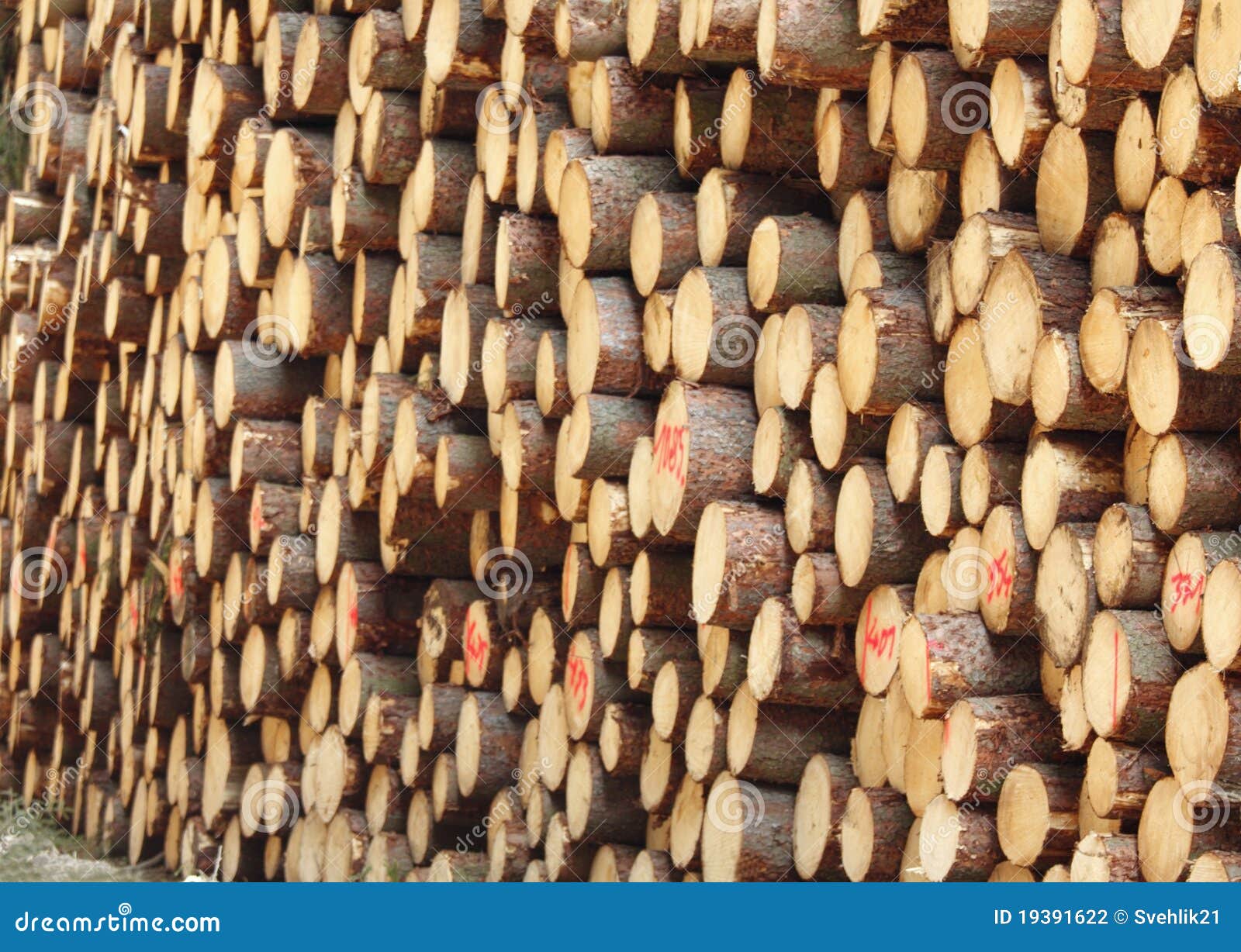 Timber logs stock photo. Image of winter, transport, lumberjack - 19391622