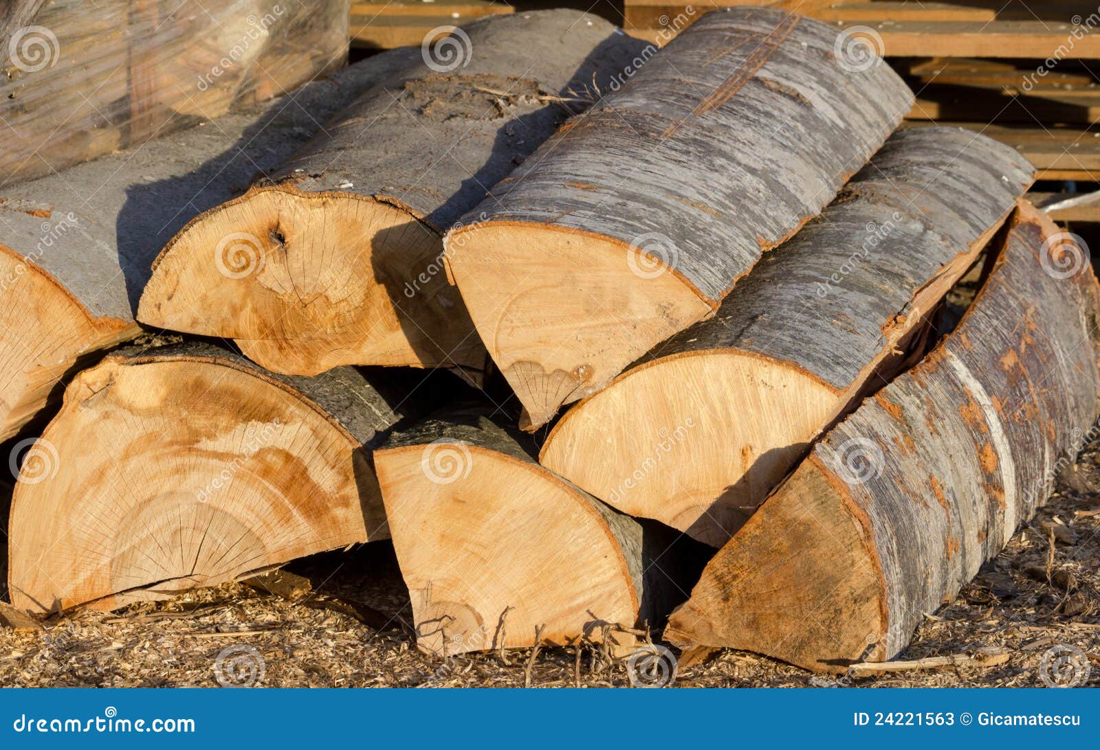 Timber logs stock image. Image of forest, country, lots - 24221563