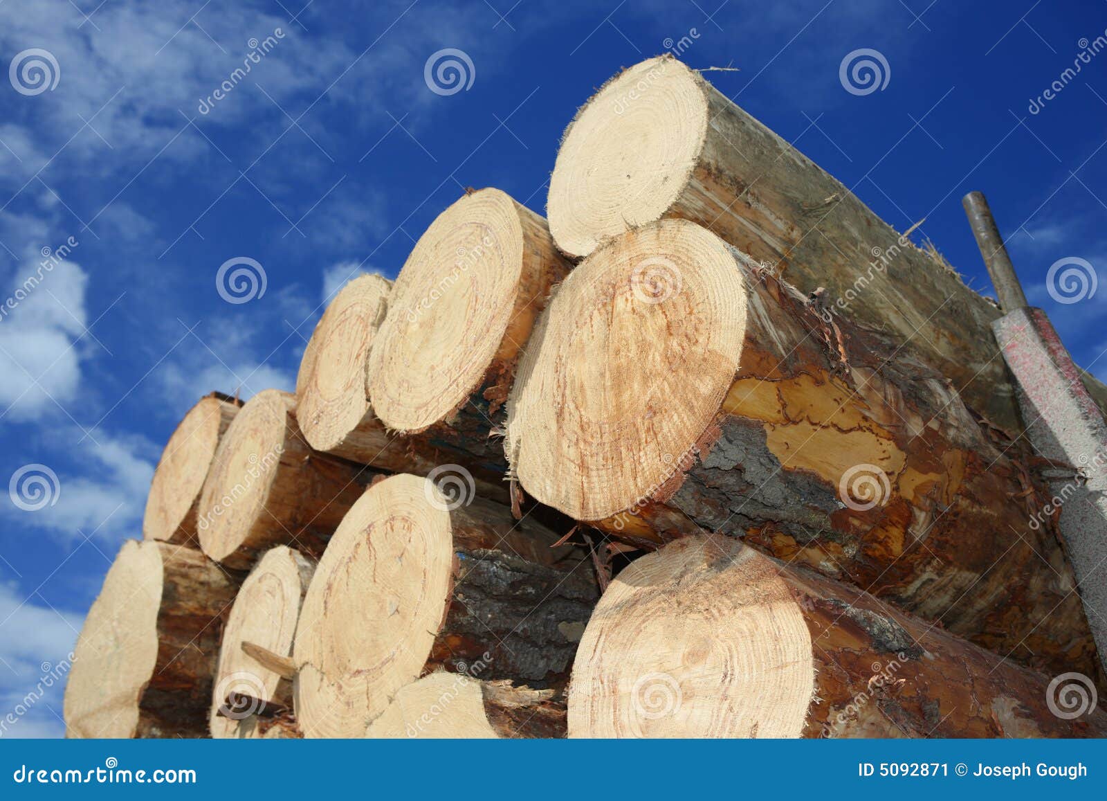 Timber Logs stock image. Image of wooden, logging, logs - 5092871