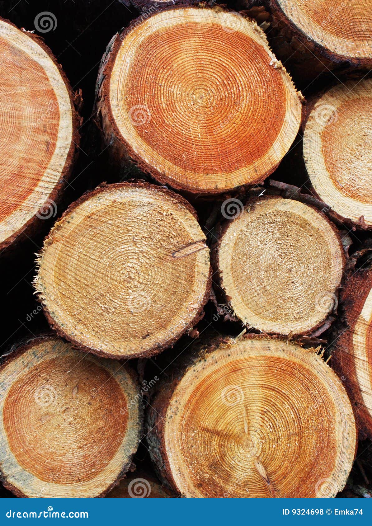 Two Timber Logs With Blue Paint In Pile Royalty-Free Stock Photo ...