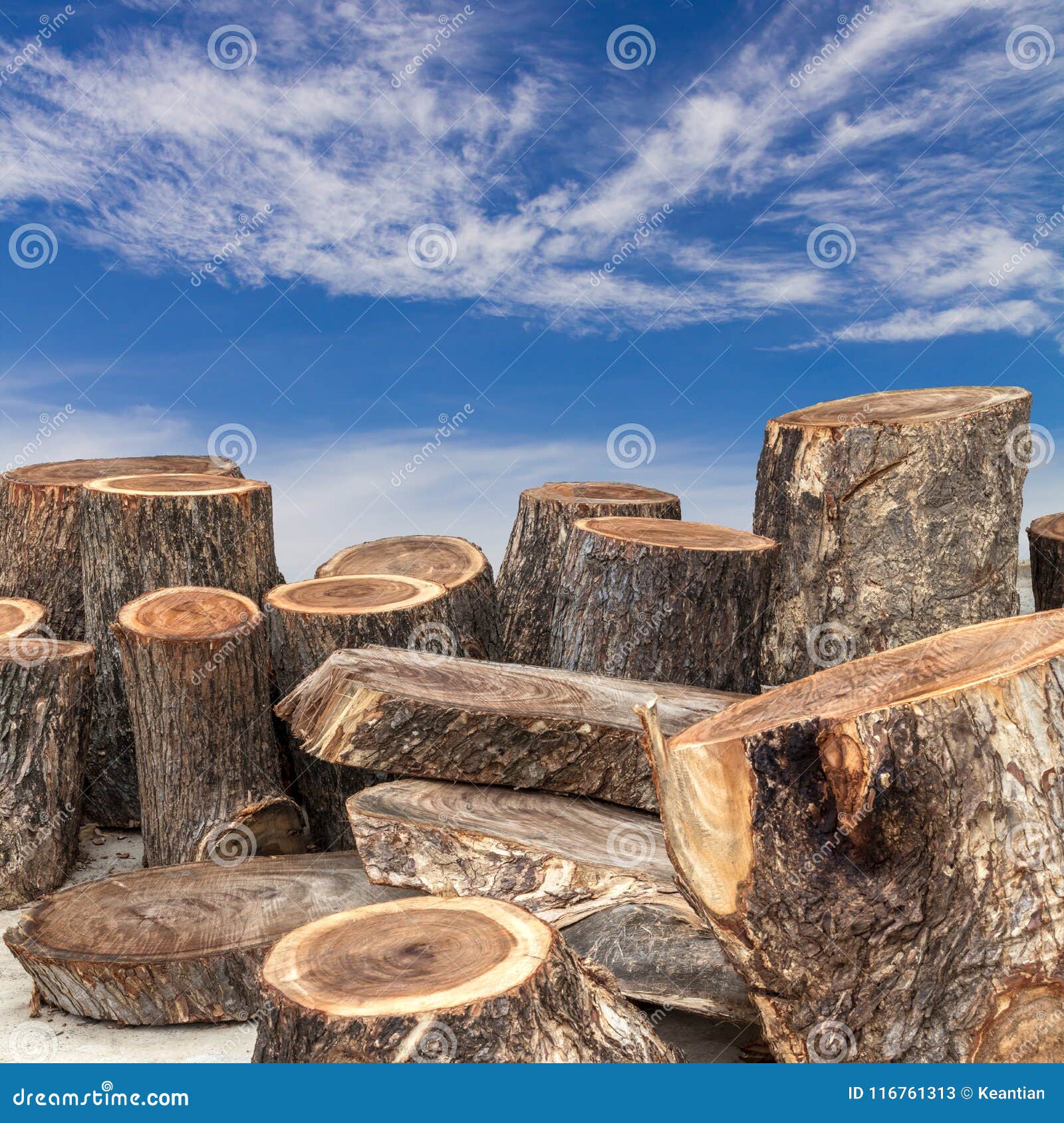 Timber Logs with Cloud and Sky. Stock Image - Image of logs, objects ...
