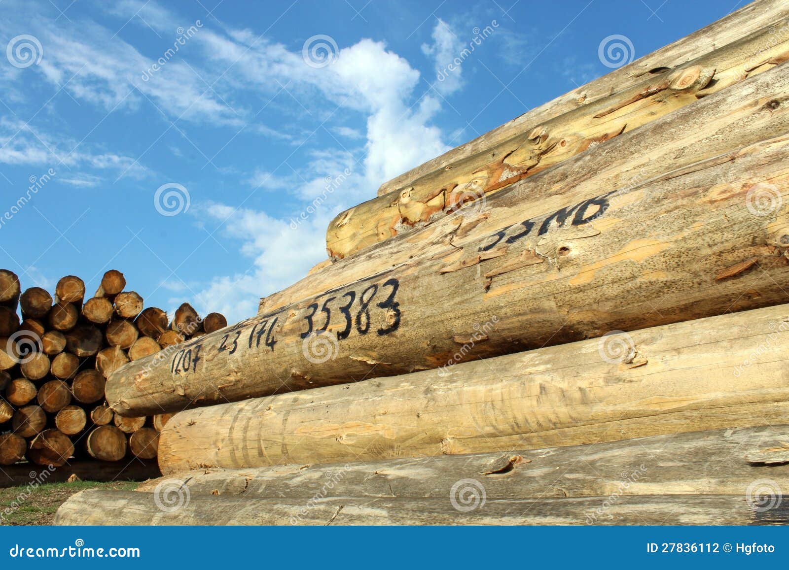 Timber logs in the depot stock photo. Image of building - 27836112