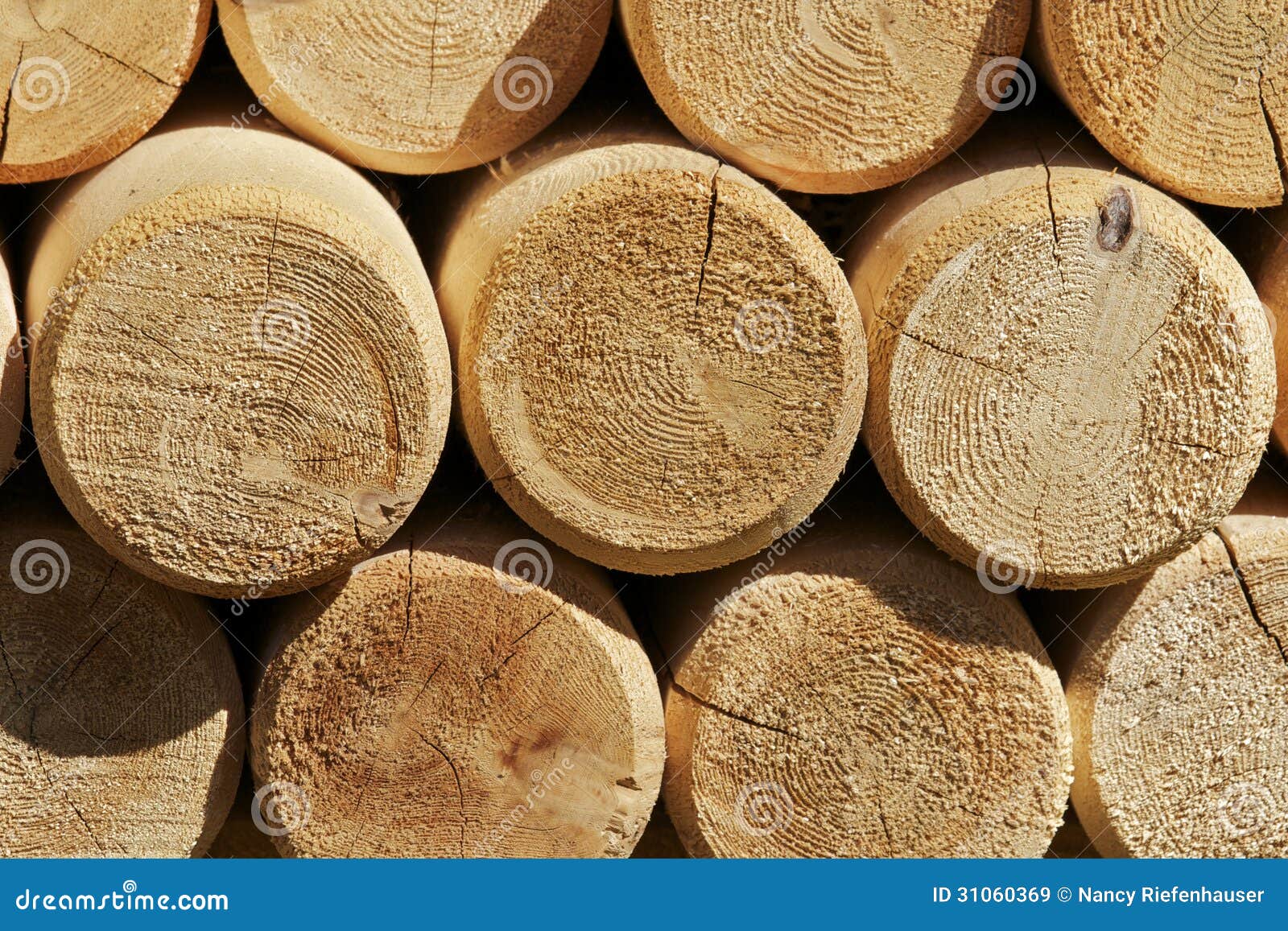 Timber & Logs stock image. Image of pattern, ends, carpenter - 31060369