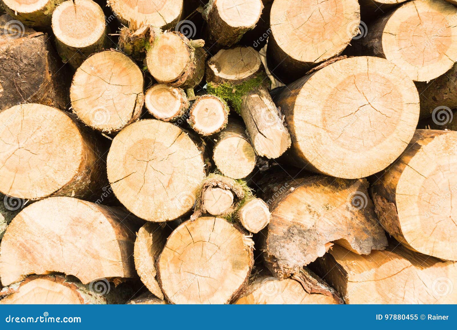 Timber logs stock image. Image of warmth, chimney, chop - 97880455