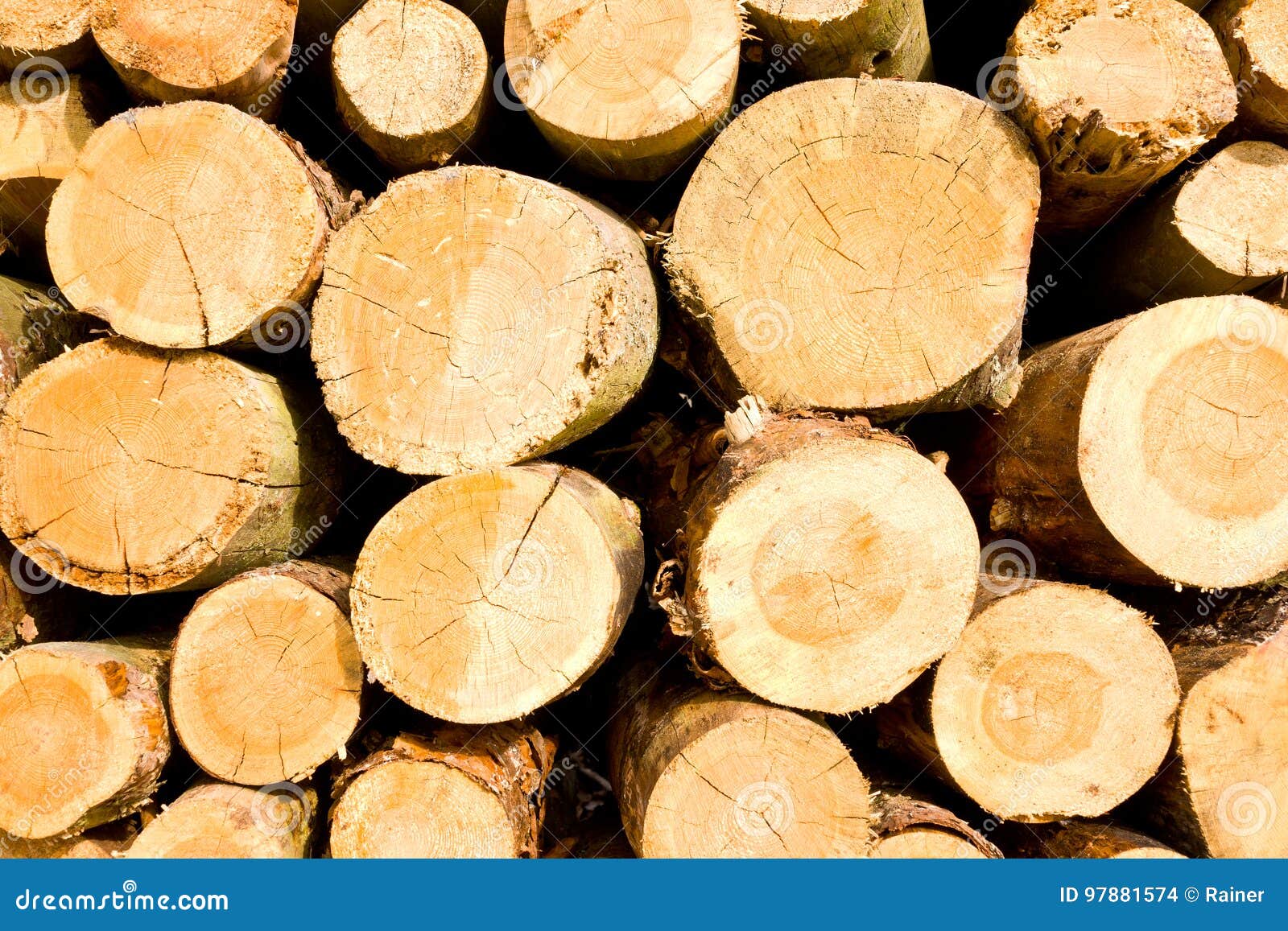 Timber logs stock photo. Image of warmth, sawed, warm - 97881574