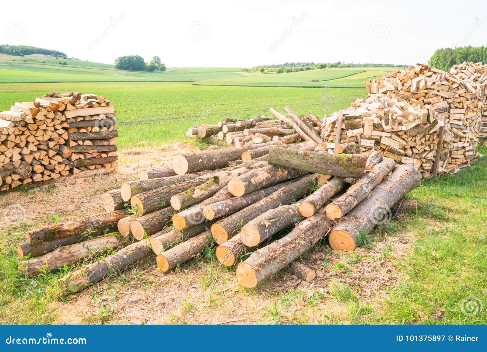 Timber logs stock image. Image of lumberyard, stockpile - 101375897