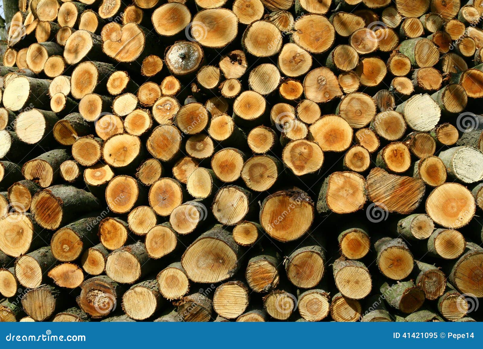 Timber logs stock image. Image of concentric, circular - 41421095