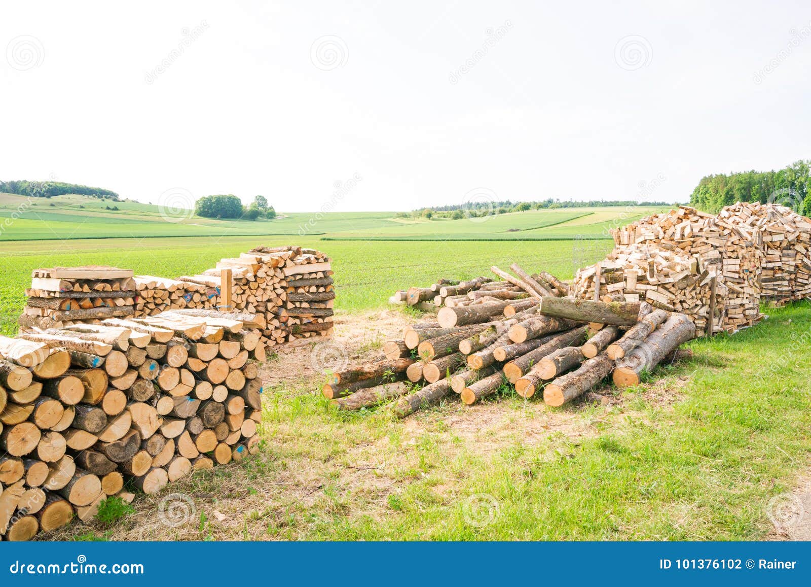 Timber logs stock photo. Image of bulk, logs, people - 101376102