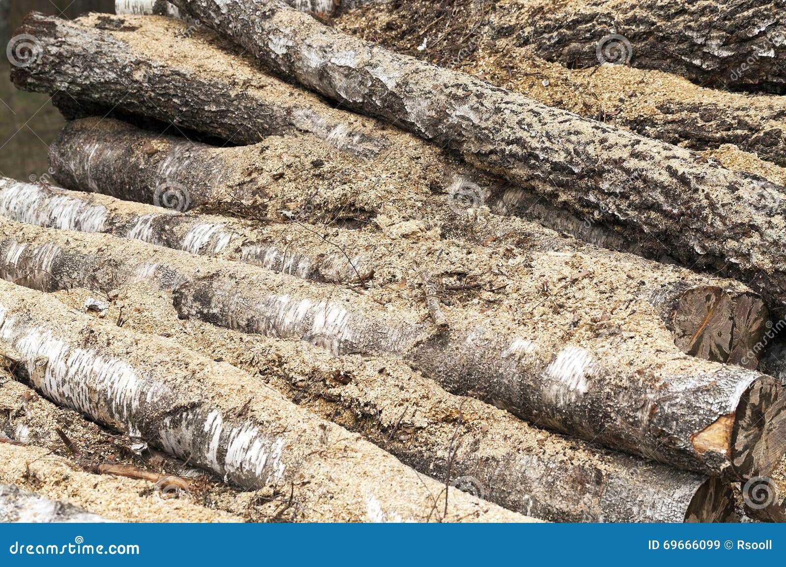 Timber. old logs stock image. Image of curve, frame, house - 69666099