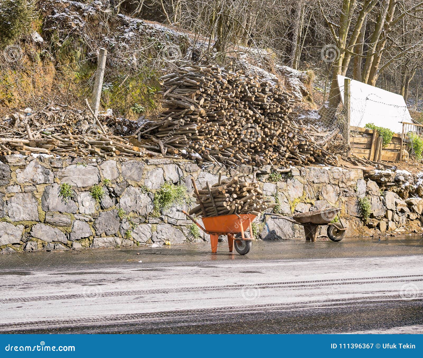 Timber in Orange Wheelbarrow Stock Image - Image of white, beautiful ...